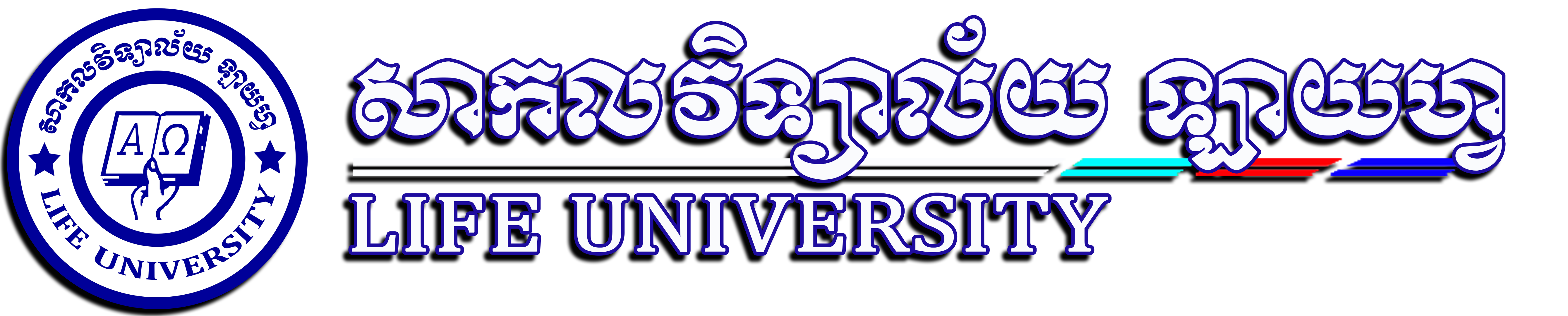 Online Program Life University